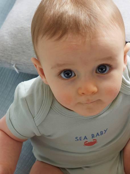 Pack of 5 "Beach" Bodysuits with Cutaway Shoulders for Babies - aqua ...