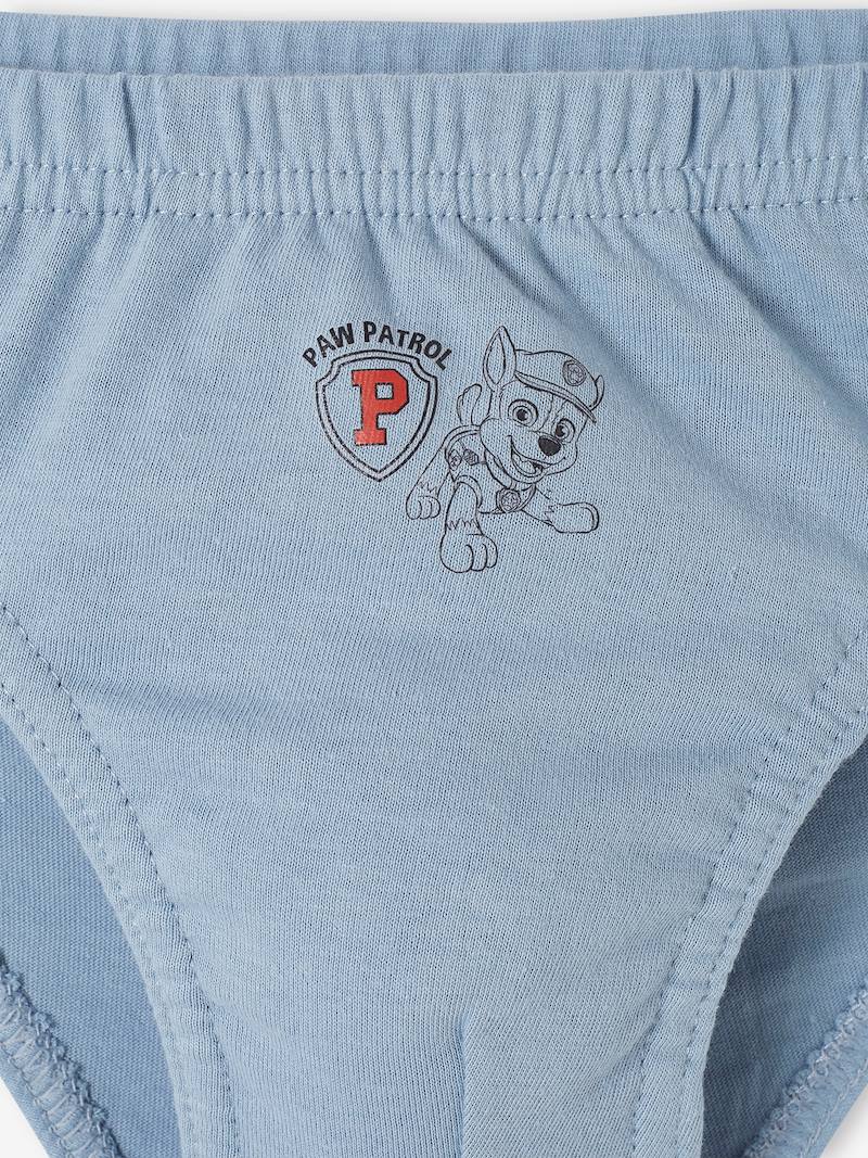 Pack of 3 Paw Patrol® Briefs for Boys - sky blue, Boys | Vertbaudet