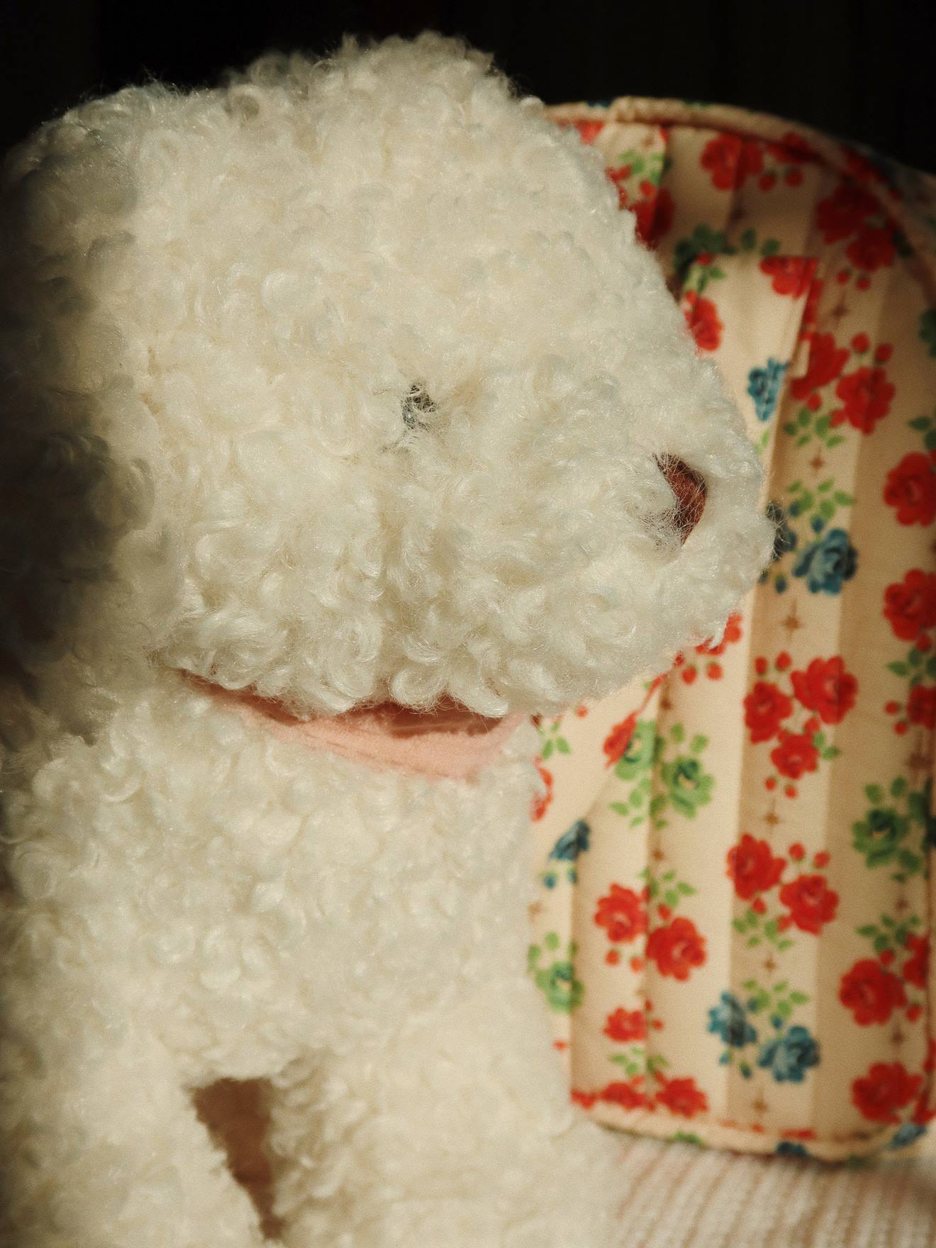 Yvette KONGES SLOJD dog plush white Vertbaudet